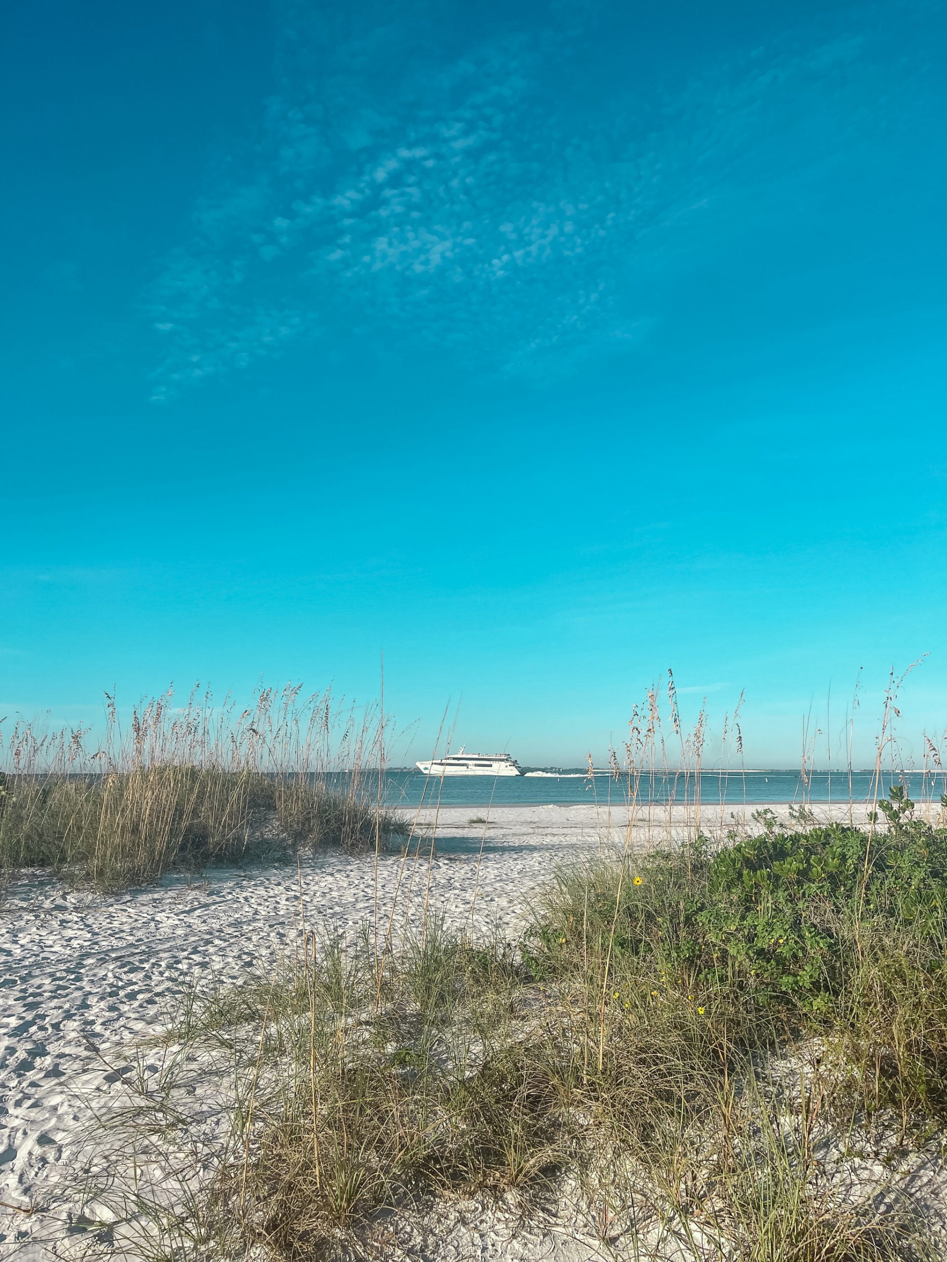 The Best Beaches Near Cape Coral, Florida - 365 Things to do in ...