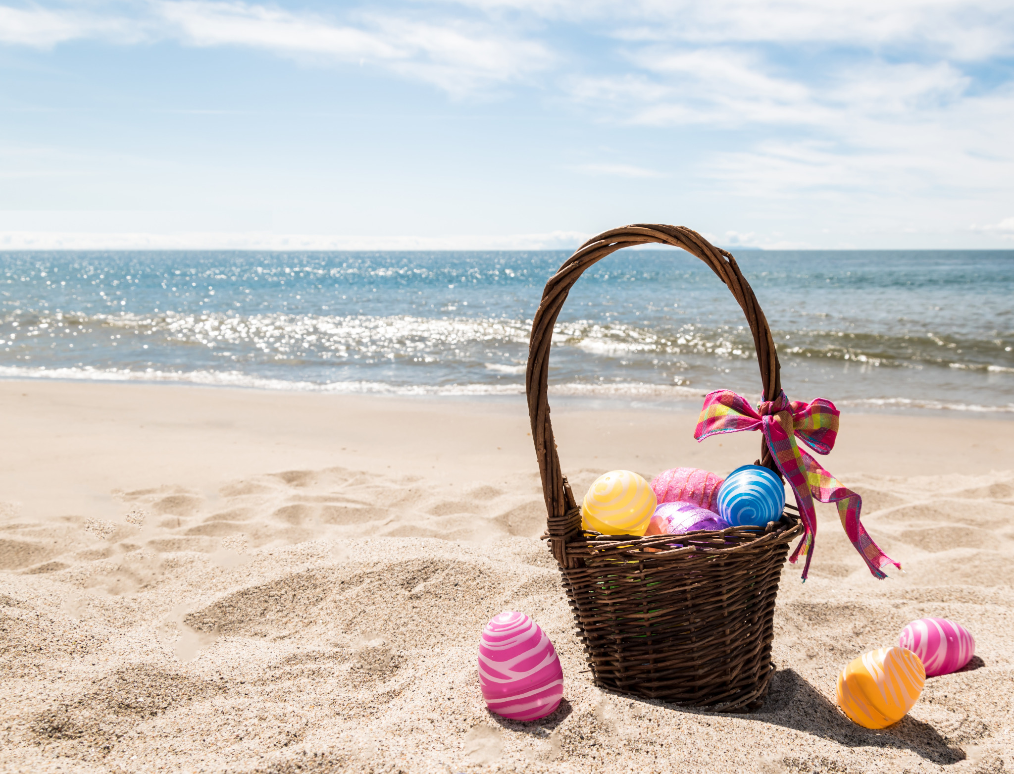 365 Things to do in Southwest Florida