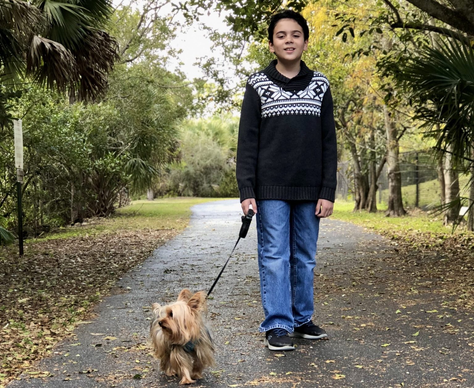 The Best Dog-Friendly Beaches in Southwest Florida - 365 Things to do ...