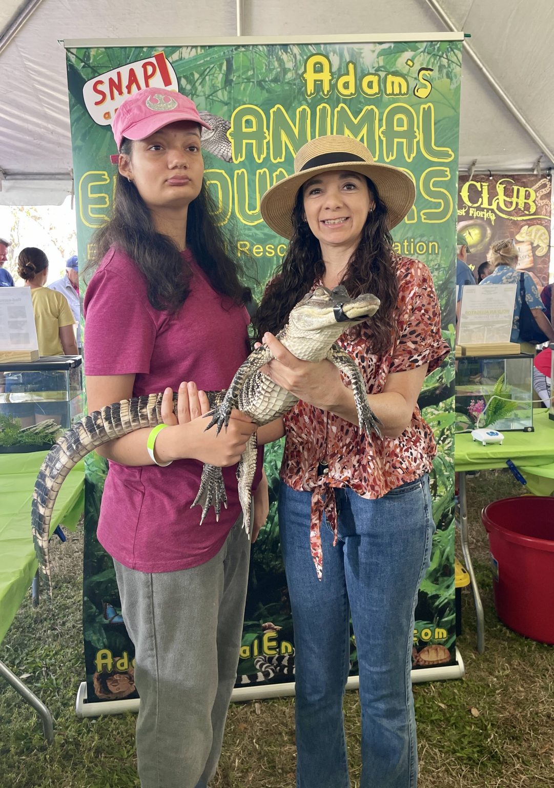 23rd Annual Burrowing Owl Festival: A Celebration of Cape Coral’s ...