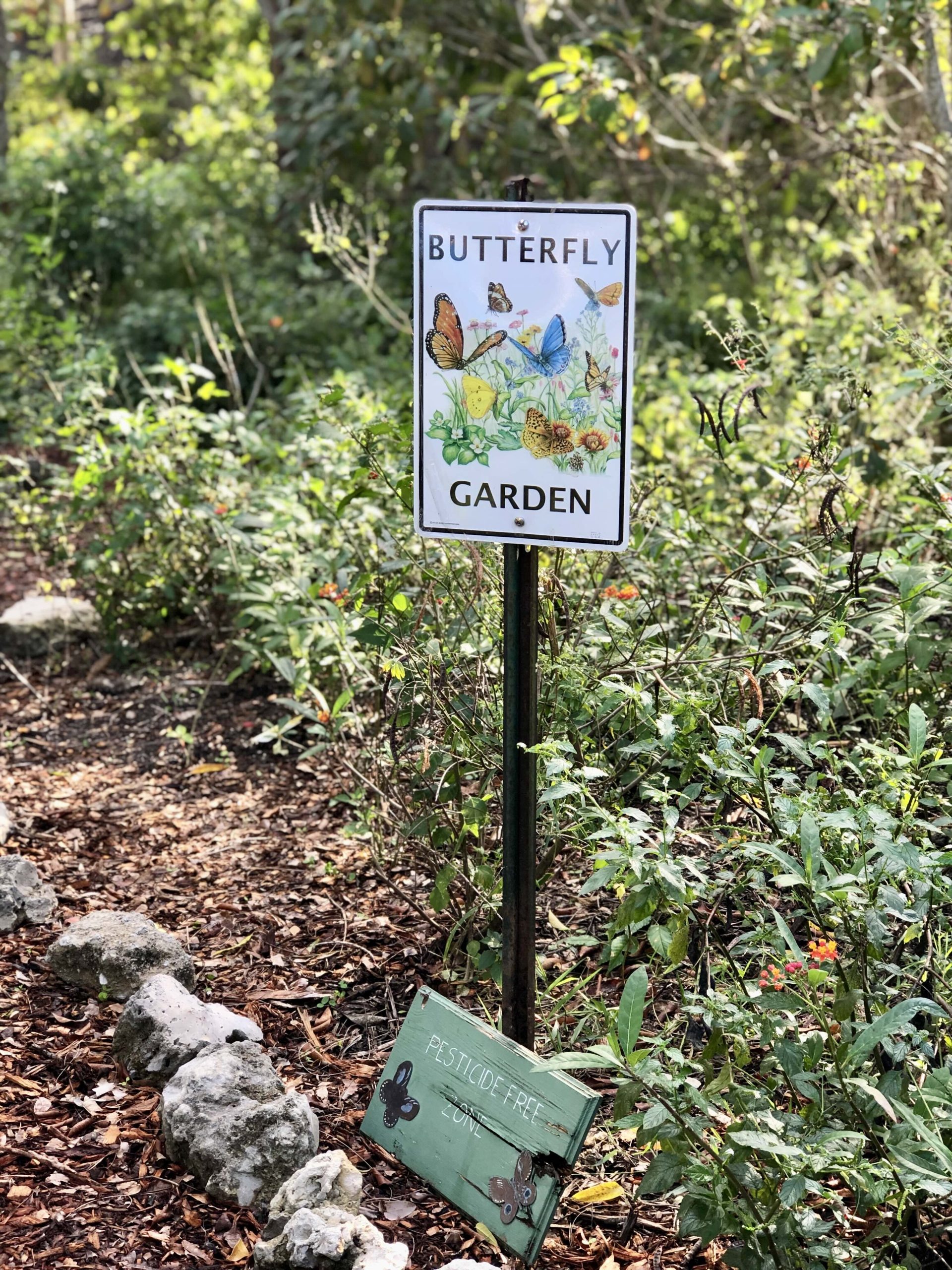 23rd Annual Burrowing Owl Festival: A Celebration of Cape Coral’s ...