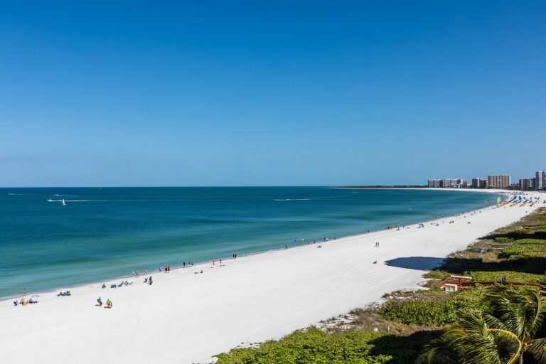 Ultimate Guide to the Best Shelling in Naples, Marco Island and Beyond ...