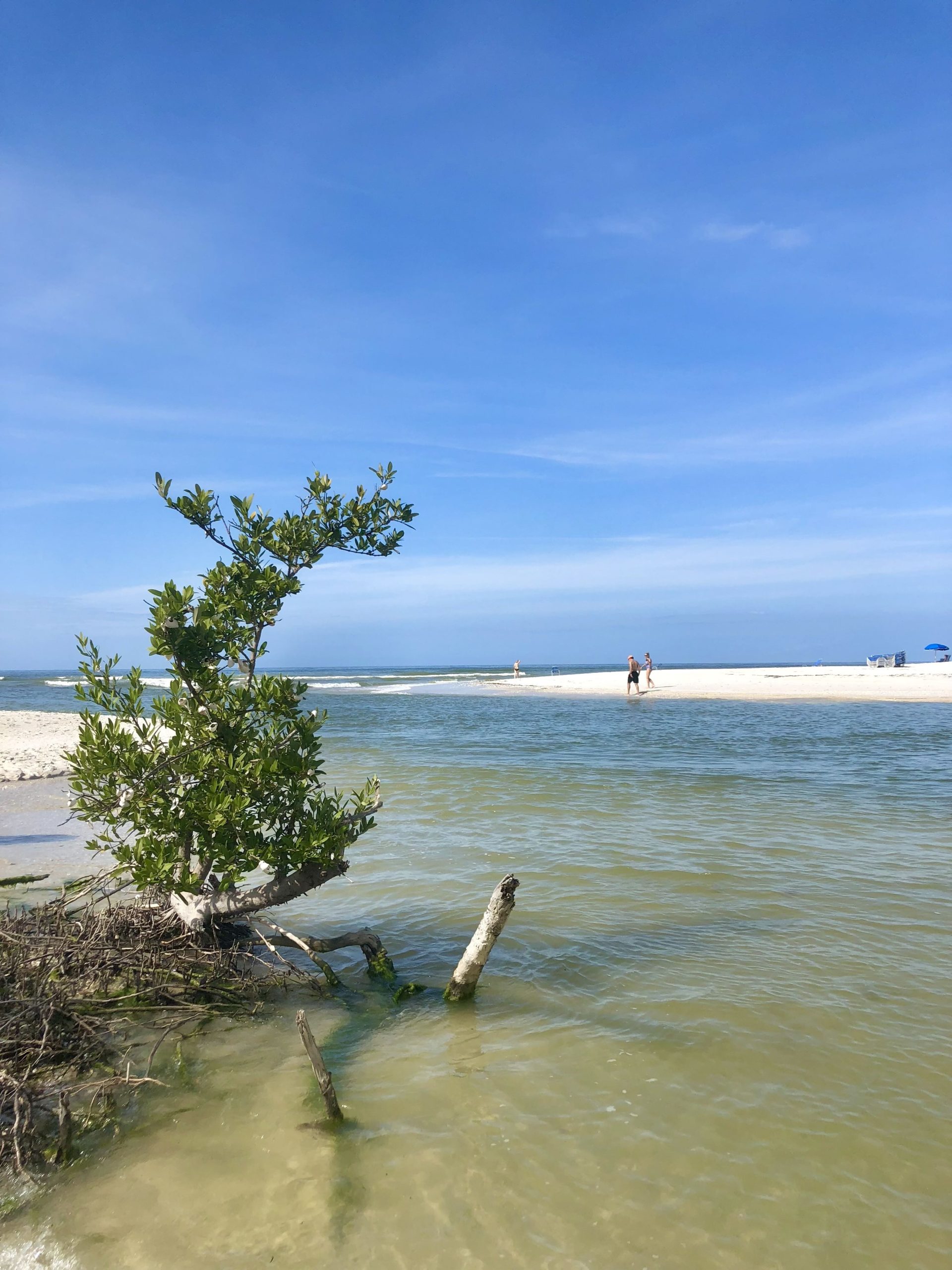 Clam Pass Beach, Naples: What to Know Before You Go - 365 Things to do ...